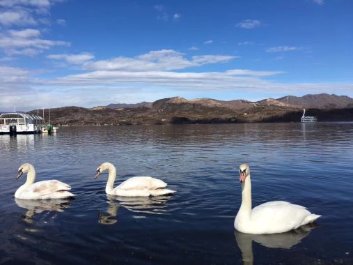 DB Fasteners Corporation - Social responsibility ARaymond tinnerman avk ...